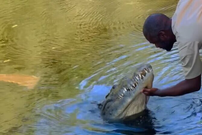 Private Black River Safari Tour from Montego Bay Resorts - The Scenic Journey