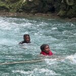 Private Blue Hole and Dunn's River Falls Tour with Transportation - Who Should Consider This Tour?