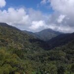 Private Blue Mountain tour from Ocho Rios - The Value and Practical Aspects