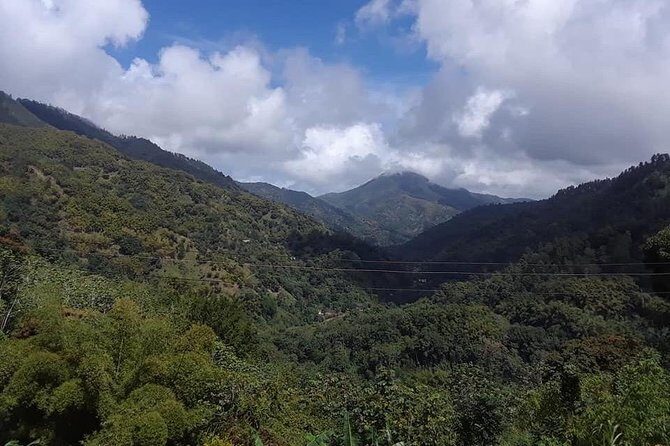 Private Blue Mountain tour from Ocho Rios - The Value and Practical Aspects