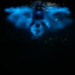 Private Boat Charter Experience in Bio Bay Cayman Island - Practical Details and Tips