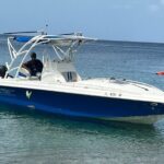 Private Boat Charter St. Lucia, boat tour to Soufriere. Full day - Practical Tips for Booking and Enjoying this Tour