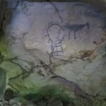 Private Boat Nature Tour of Los Haitises National Park - Final Thoughts