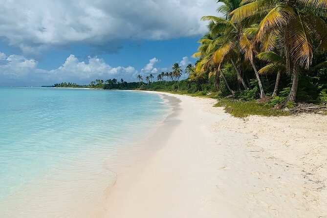 Private Boat Nature Tour of Saona Island - Authentic Experiences and Thoughtful Details