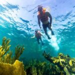 Private Boat Ride & Snorkeling Tour In Puerto Morelos - Practical Details and What to Expect