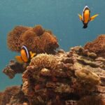 Private Boat Route B by Long Tail Boat - A Practical Introduction to Private Boat Route B