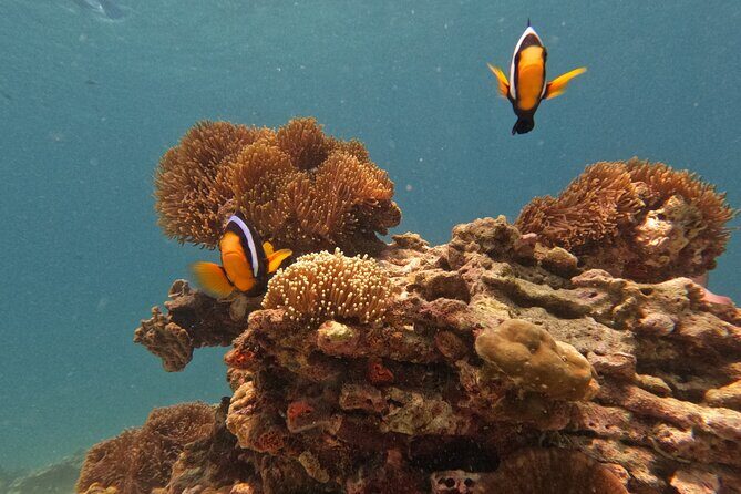 Private Boat Route B by Long Tail Boat - A Practical Introduction to Private Boat Route B