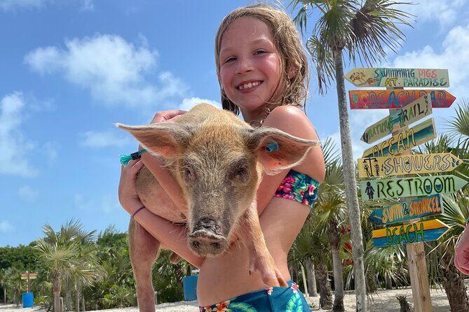 Private Boat Swim and Snorkel Adventure to Rose Island - What Travelers Say: Authentic Feedback