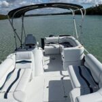 Private Boat Tour - Why This Tour Appeals