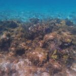 Private Boat Tour in Cayman Islands - What to Expect from the Experience