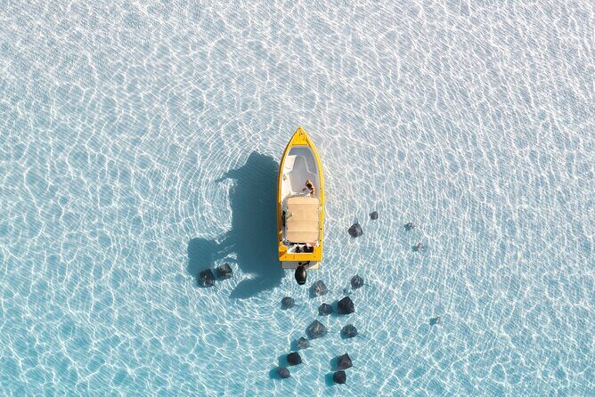 Private Boat Tours: Customize Your Grand Cayman Adventure! - Who Is This Tour Perfect For?