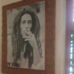 Private Bob Marley 9 Miles / Duns River fall entry fee includes - The Sum Up