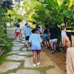 Private Bob Marley Mausoleum Guided Tour - What You’ll Experience Step-by-Step