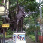 Private Bob Marley Nine Mile & Kingston Tour Combo from Negril - How the Experience Comes to Life
