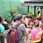 Private Bob Marley Nine Mile & Kingston Tour Combo from Runaway Bay - Practical Details: What You Need to Know