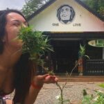 Private Bob Marley's Resting place, Dunn's River and shopping - Real Traveler Feedback