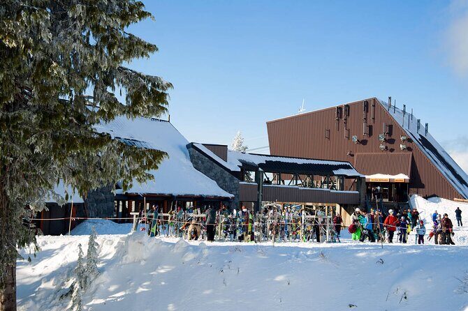 Private Capilano Bridge Grouse Mountain and Lighthouse Day Trip - The Sum Up: Is This Tour Right for You?