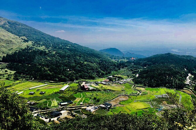 Private Car Charter in Yangmingshan Park(Pro Experienced Driver) - The Practicalities: What’s Included, What’s Not