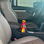 Private Car: Ho Chi Minh Airport(SGN) Tan Son Nhat To Tien Thanh - Practical Details and Considerations