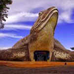 Private car Jepara - Semarang - The Experience of the Trip