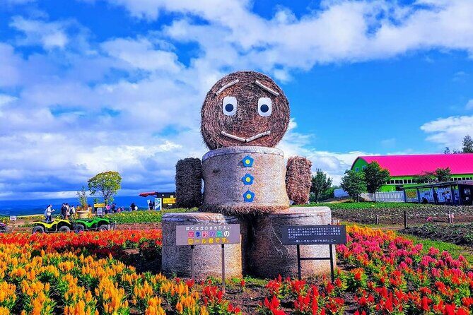 Private Car Tour to Biei Furano and Blue Pond from Sapporo - Analyzing the Price and Value