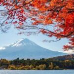 Private Car Tour to Mt. Fuji Lake Kawaguchiko - What’s Included and What’s Not