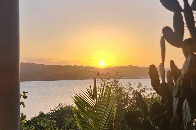 Private Car Tour to Negril Jamaica - Overall Value and Practicalities