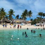 Private: Catalina Island Diving Tour with Lunch - Authentic Experiences and Reviews