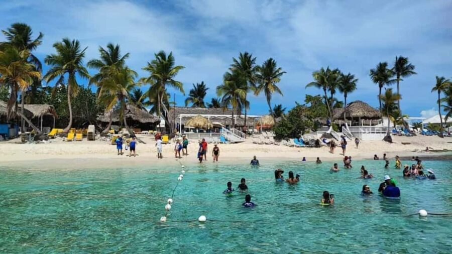 Private: Catalina Island Diving Tour with Lunch - Authentic Experiences and Reviews