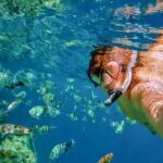 Private: Catalina Island Snorkel Dive Day Trip from Bayahibe - How the Experience Balances Comfort and Adventure