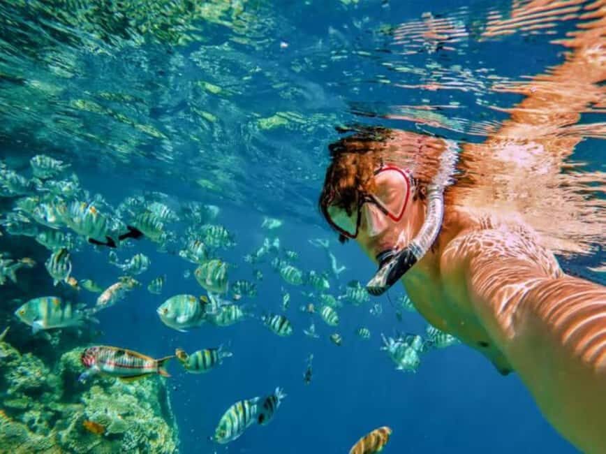 Private: Catalina Island Snorkel Dive Day Trip from Bayahibe - How the Experience Balances Comfort and Adventure