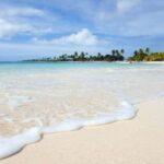 Private: Catalina Island Snorkeling & BBQ Boat Tour - The Experience Provider: Tickets Whales