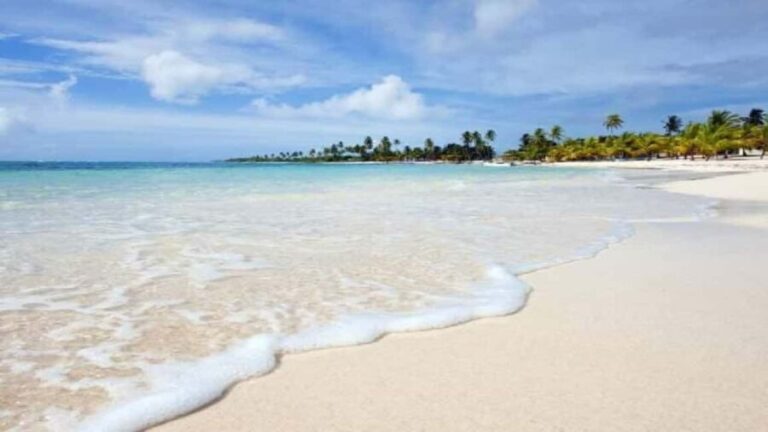 Private: Catalina Island Snorkeling & BBQ Boat Tour - The Experience Provider: Tickets Whales