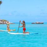 Private Catamaran Charter on Elusive - The Value and Pricing Analysis