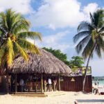 Private Catamaran Cruise Tour in Negril Beach and Rick's Cafe - What the Reviews Say (Based on Available Feedback)