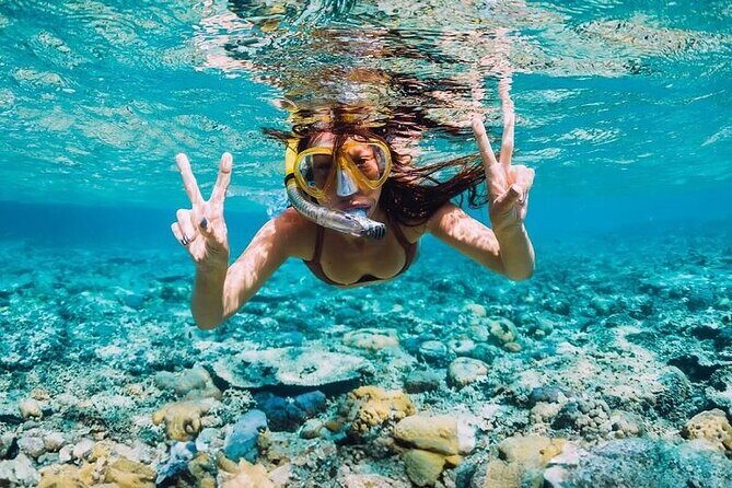 Private Catamaran Cruise with Slide & unlimited drinks - Key Points