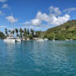 Private: Catamaran Day Trip to Cayo Levantado - Practical Details & Tips