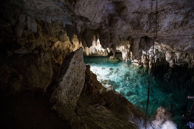 Private Cenotes Puerto Morelos - What Reviewers Say