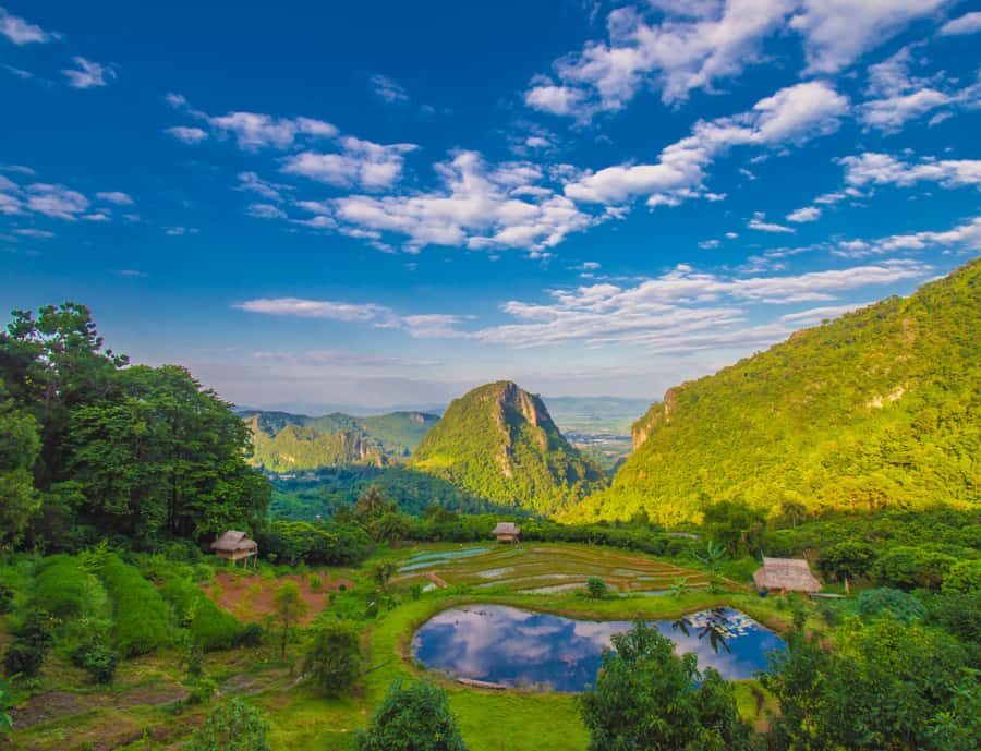 Private Chaing Rai: Temples, Golden Triangle & Hill Tribe - How Does This Tour Compare?