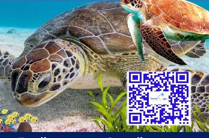 Private Charter for snorkeling, swimming pigs, turtles & fishing.... - Who Will Love This Tour?