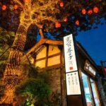 Private Chengdu Illuminated Night Tour and 339 Tower - Practicalities and What Worth Noting