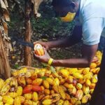 Private Chocolate Making Class - Authentic Insights from Reviews