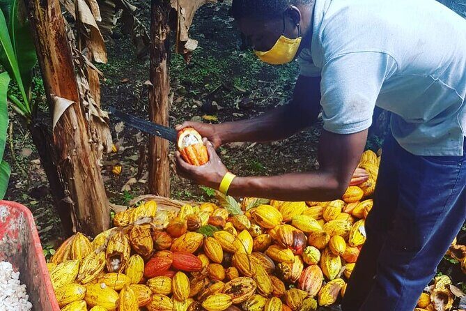 Private Chocolate Making Class - Authentic Insights from Reviews