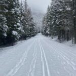 Private Cross Country Ski in Glacier National Park - What Makes This Tour Stand Out?