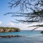 Private Curaçao West Coast: Beach & Nature Photography Tour - In-Depth Look at the Itinerary