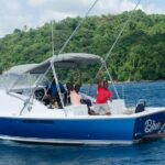 Private Custom Coastal Cruise St. Lucia Half Day - What Makes This Tour Special