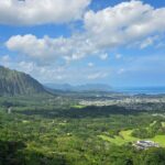 Private Custom Oahu Island Tour | Flexible Day Options (Up to 10) - What Travelers Say and Why It Matters