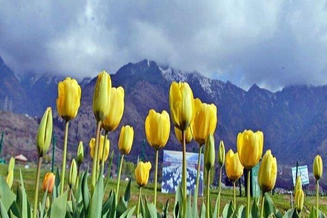 Private Custom Tour: Pahalgam sightseeing with guide - FAQ