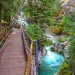Private Customizable Banff Tour Lake Louise-Moraine 6 More Sights - In-Depth Look at the Itinerary
