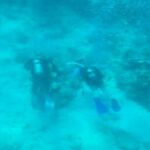 Private Customizable Charter in Marathon Florida - A Closer Look at the Experience